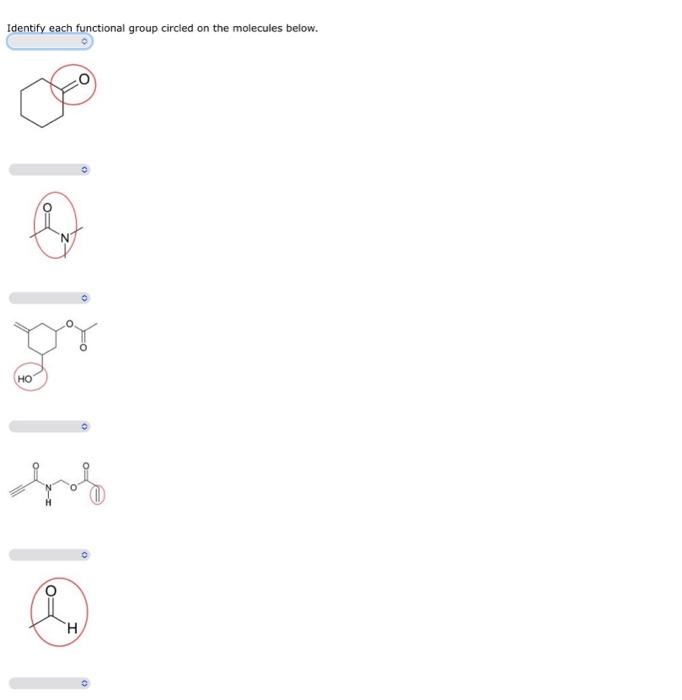 Solved Identify each functional group circled on the | Chegg.com