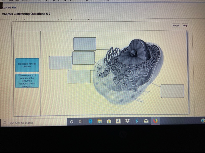 Solved Ch 03 HW Chapter 3 Matching Questions 6-7 Reset Help | Chegg.com Solved Ch 03 HW Chapter 3 Matching Questions 6-7 Reset Help | Chegg.com