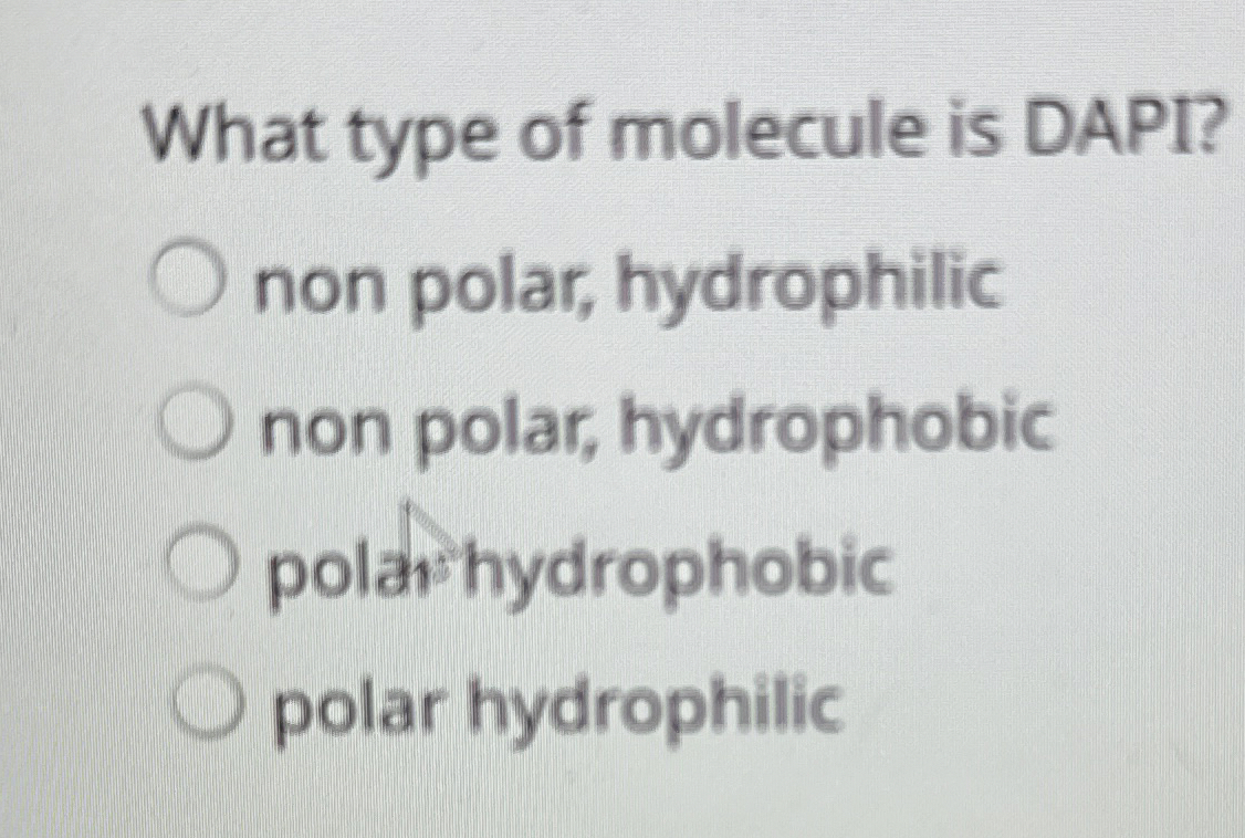 Solved What type of molecule is DAPI?non polar, | Chegg.com