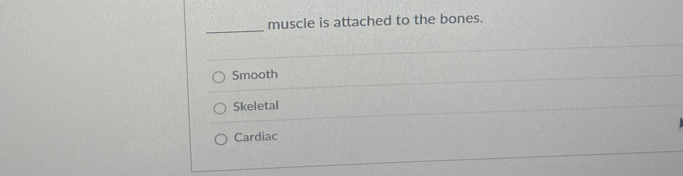 q, ﻿muscle is attached to the | Chegg.com