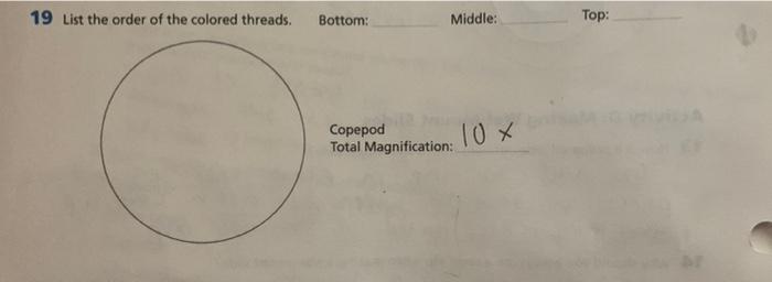 Obtain a prepared crossed-threads slide. On this | Chegg.com
