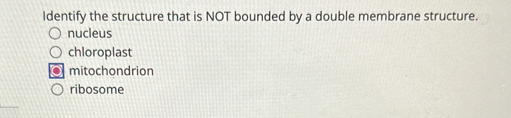 Solved Identify the structure that is NOT bounded by a | Chegg.com