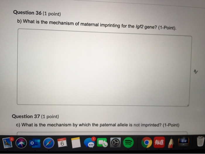 Solved Imprinting The figure depicts the maternal imprinting | Chegg.com