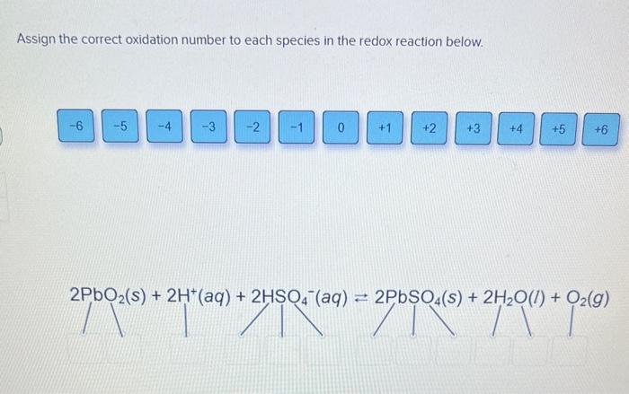 Solved Assign The Correct Oxidation Number To Each Species