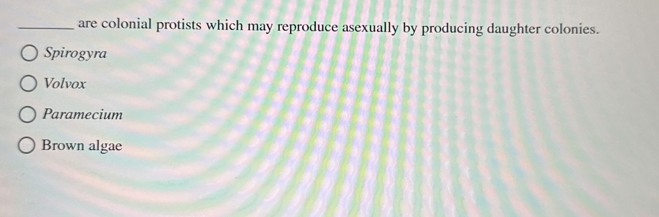 Solved are colonial protists which may reproduce asexually | Chegg.com