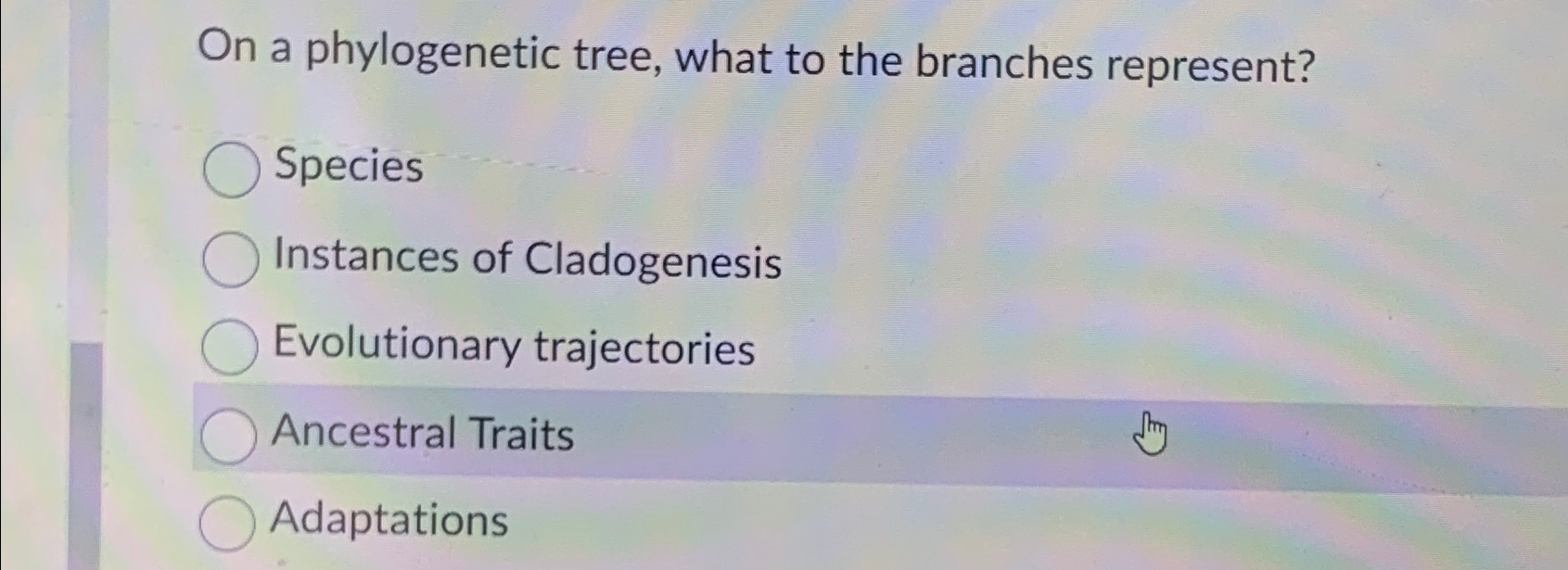 Solved On a phylogenetic tree, what to the branches | Chegg.com