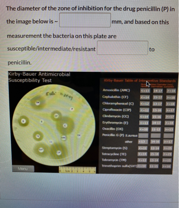 Solved The diameter of the zone of inhibition for the drug | Chegg.com