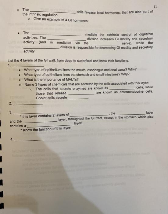Solved The the intrinsic regulation o Give an example of 4 | Chegg.com
