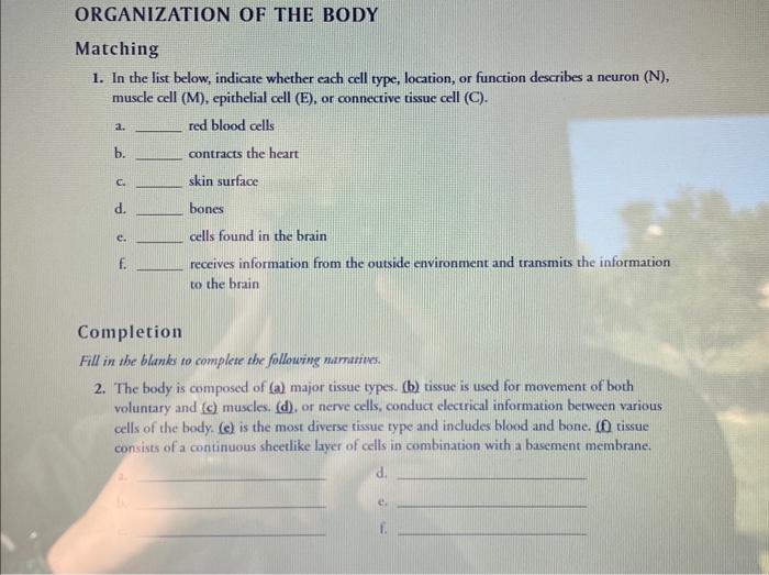 Solved ORGANIZATION OF THE BODYMatching1. In the list below, | Chegg.com