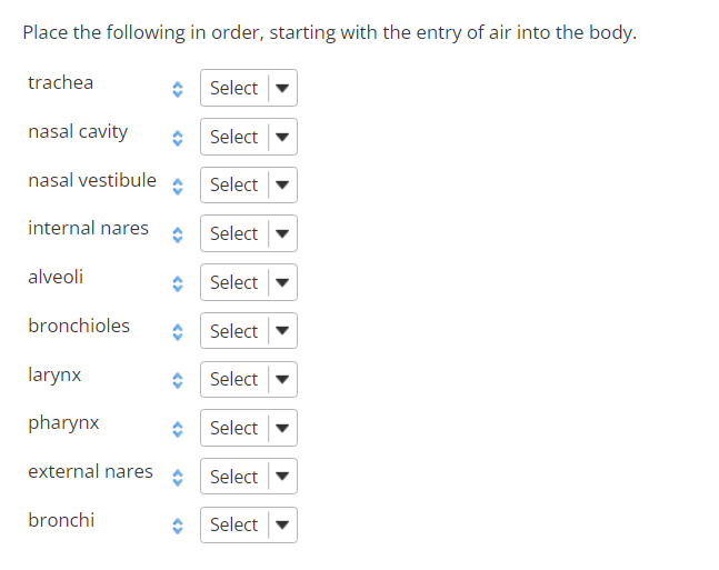 Solved Place the following in order, starting with the entry | Chegg.com