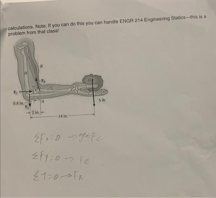 Solved Activity III Making a more accurate Human Arm Model | Chegg.com