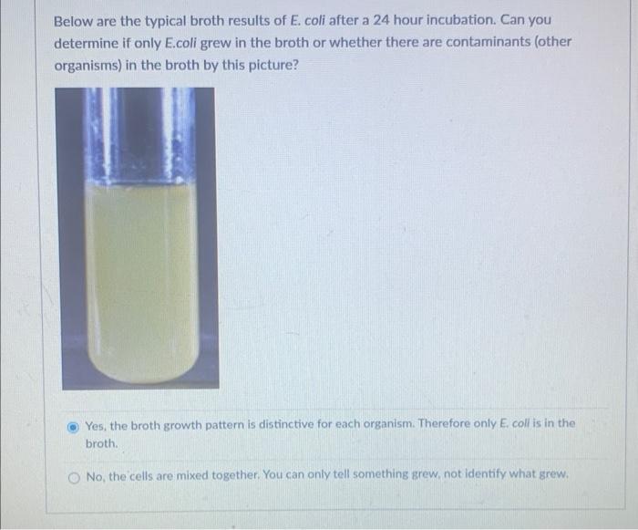 Solved Below are the typical broth results of E. coli after | Chegg.com