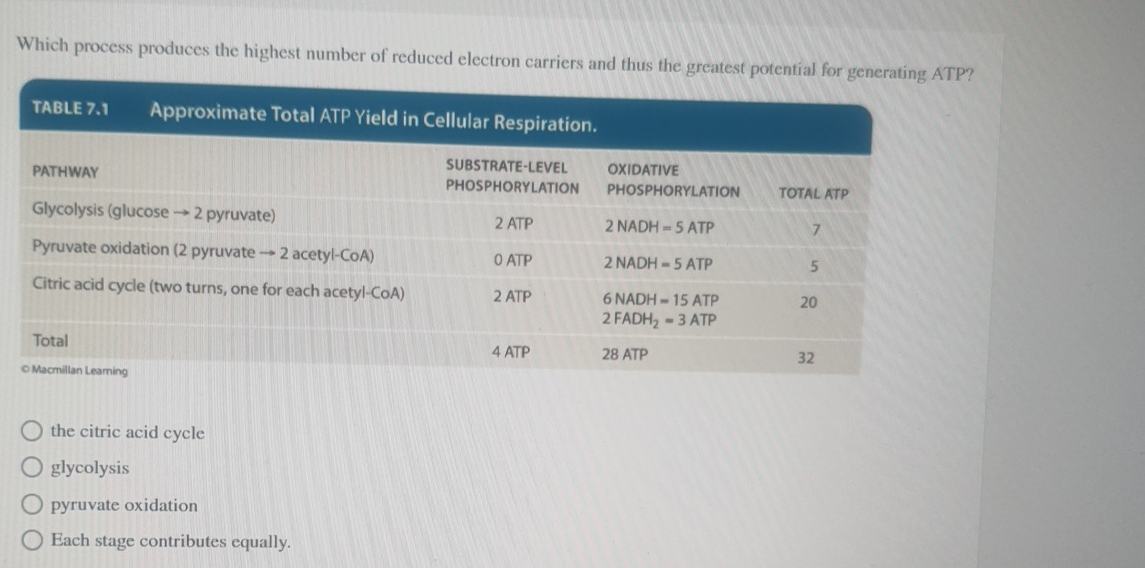 Solved Which process produces the highest number of reduced | Chegg.com