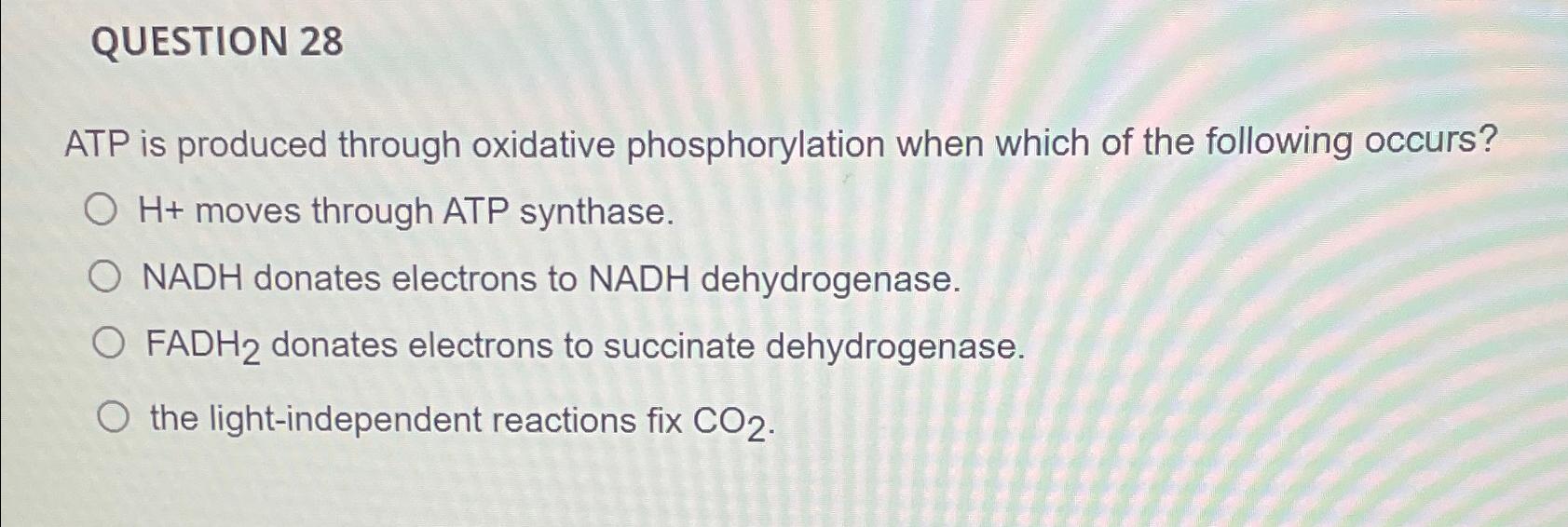 Solved QUESTION 28ATP is produced through oxidative | Chegg.com