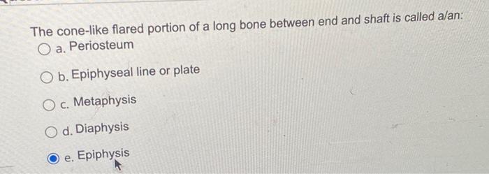 Solved The cone-like flared portion of a long bone between | Chegg.com