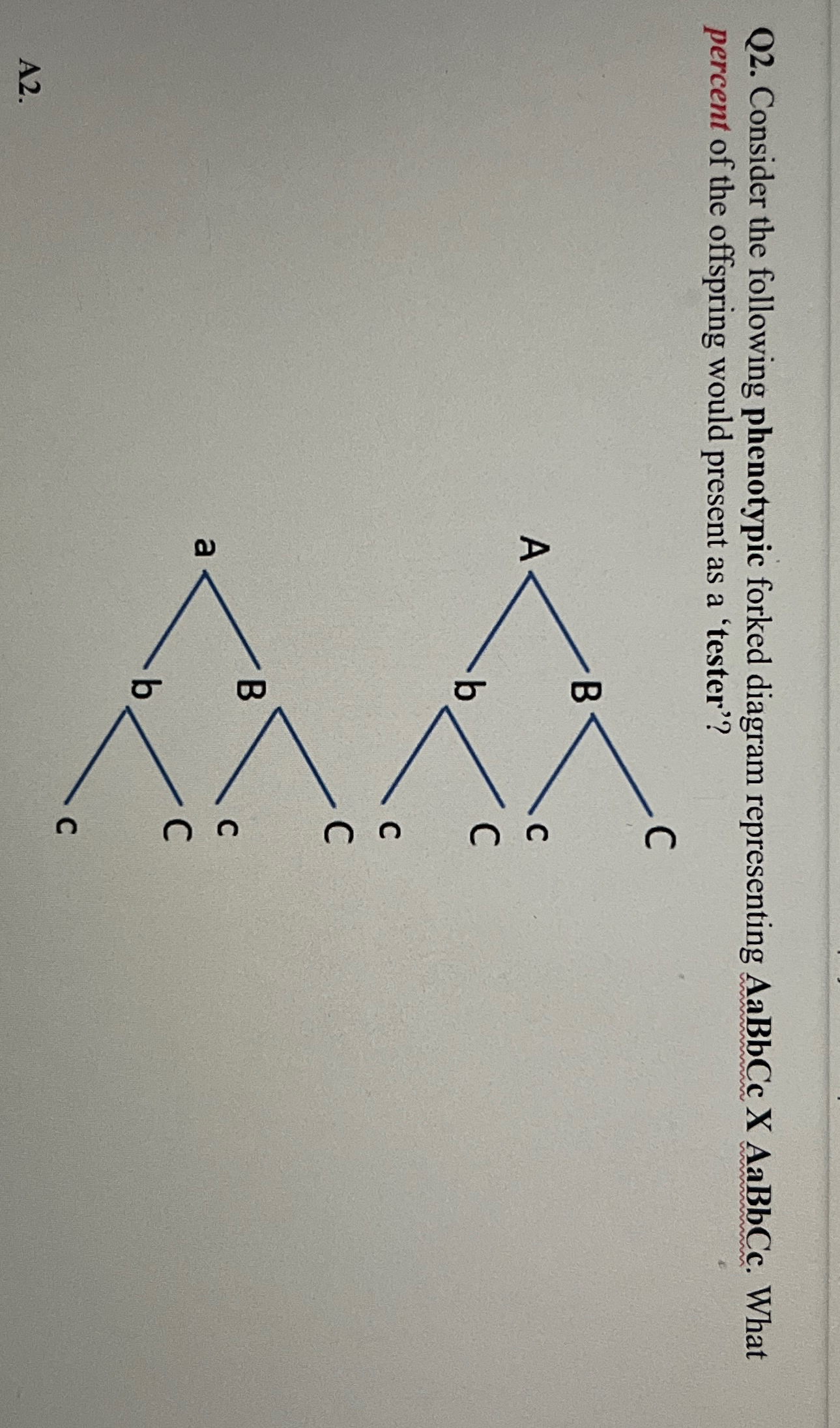 Solved Q2. ﻿Consider the following phenotypic forked diagram | Chegg.com