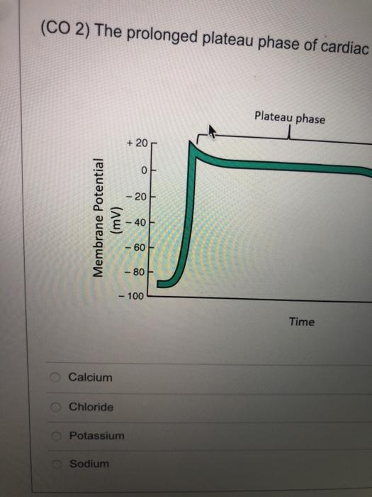 Solved (CO2) The prolonged plateau phase of cardiac Plateau | Chegg.com