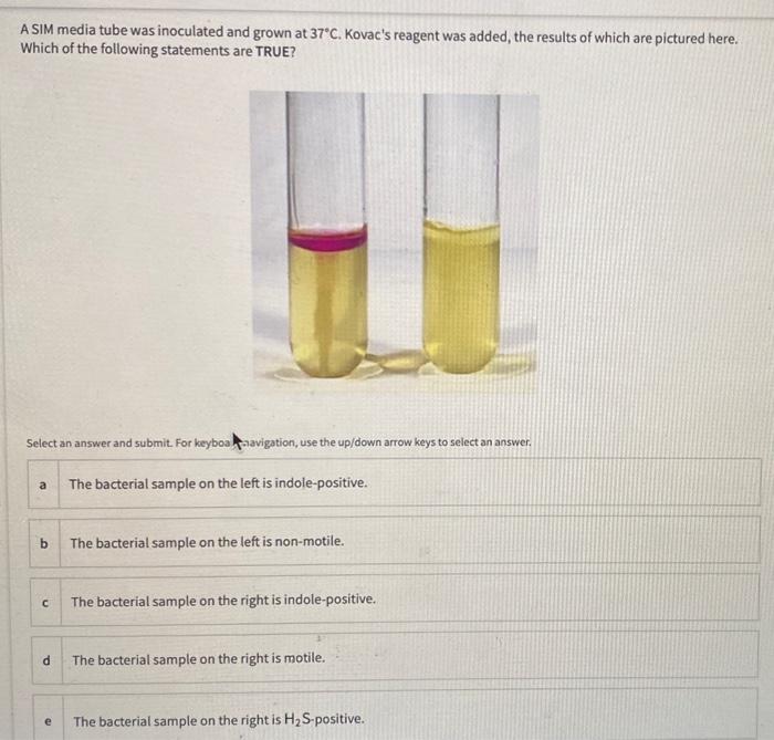 Solved A SIM media tube was inoculated and grown at 37∘C. | Chegg.com