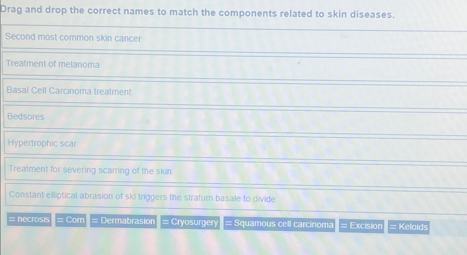 Solved Drag and drop the correct names to match the | Chegg.com
