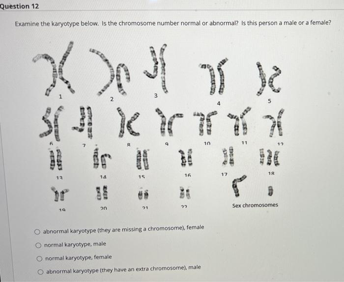 Solved Question 12 Examine the karyotype below. Is the | Chegg.com