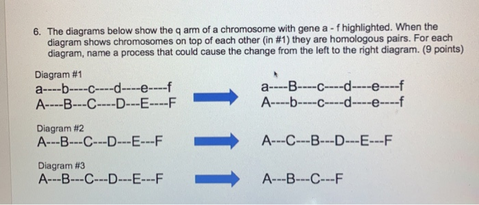 Solved 6. The diagrams below show the q arm of a chromosome | Chegg.com
