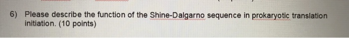 Solved 6) Please describe the function of the Shine-Dalgarno | Chegg.com