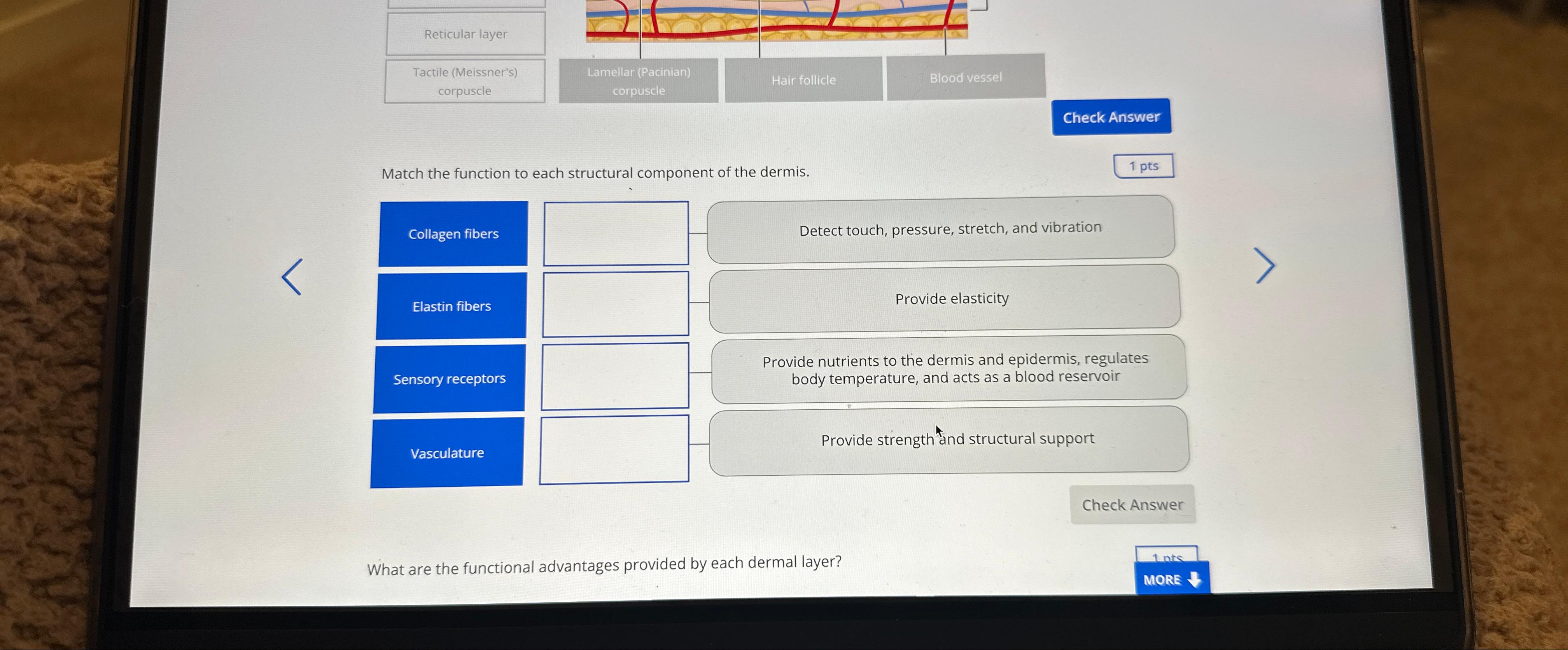 Solved Match the function to each structural component of | Chegg.com