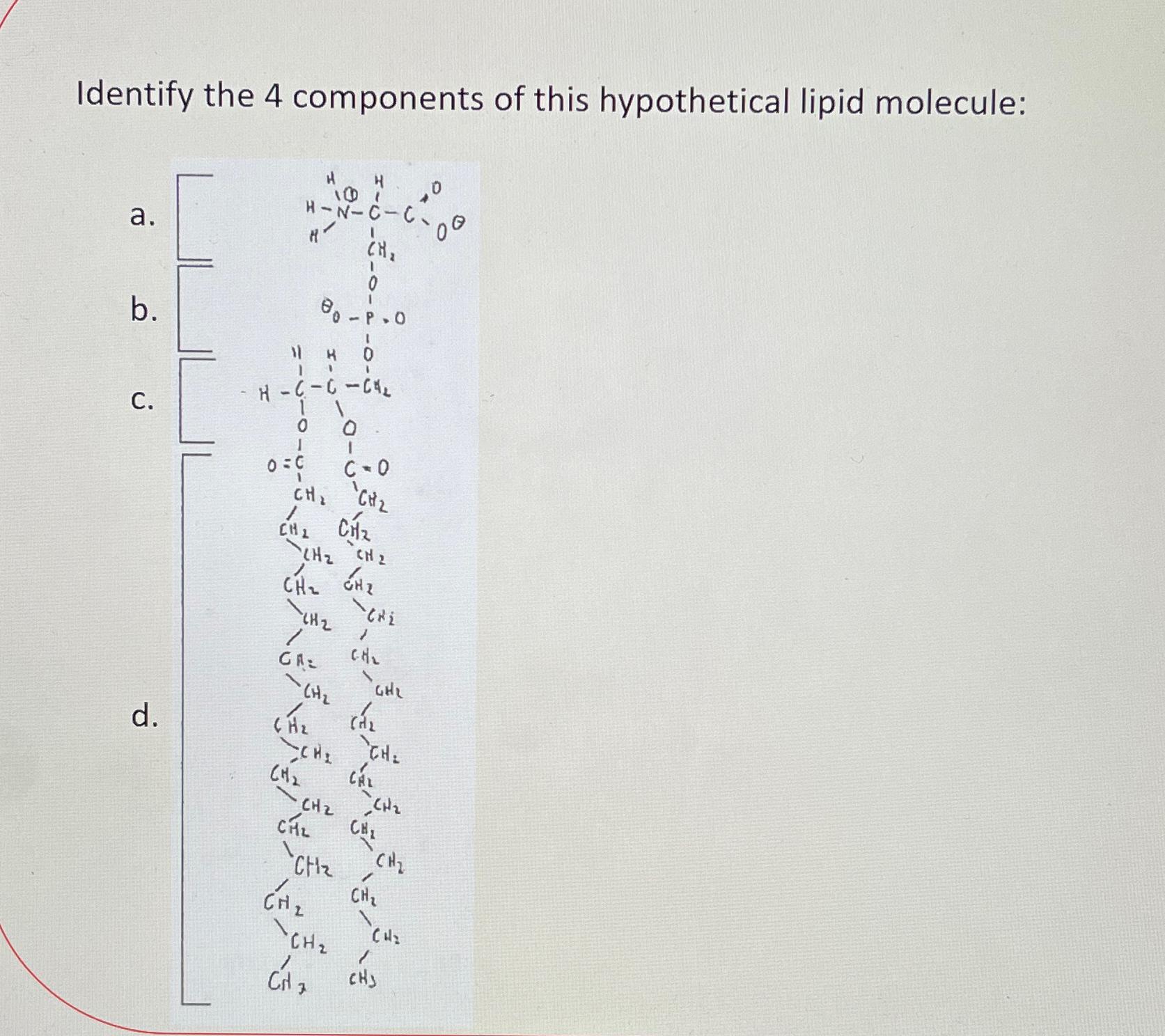 Solved Identify the 4 ﻿components of this hypothetical lipid | Chegg.com