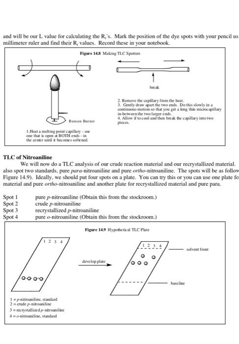 Solved Draw a TLC plate that is 6 cm long. Assume that your | Chegg.com
