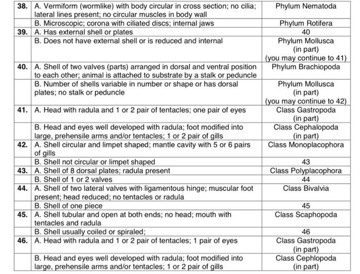 Solved Using the dichotomous key in your tutorial, key out | Chegg.com