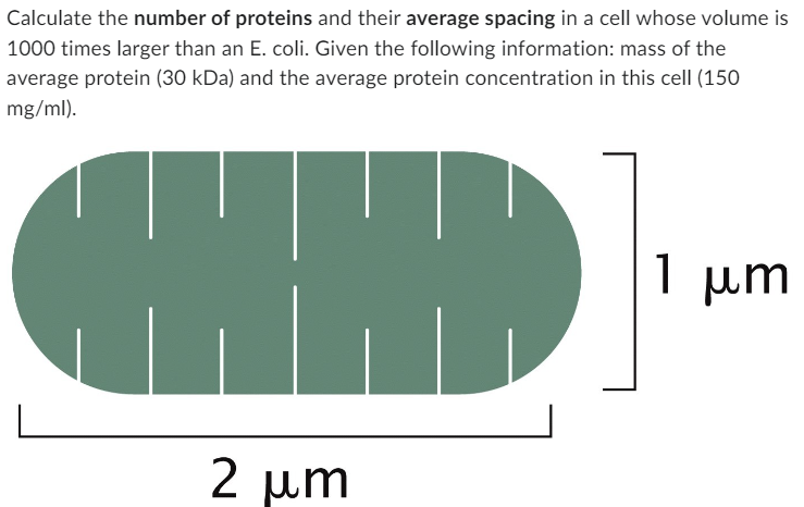 Solved Calculate the number of proteins and their average | Chegg.com