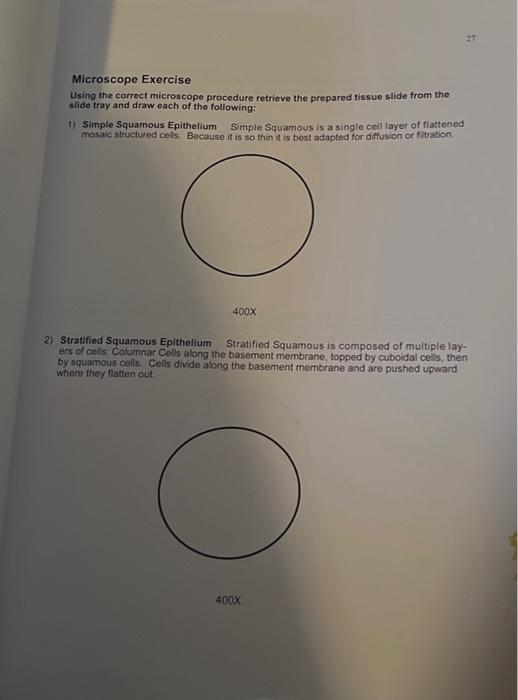 Solved Microscope Exercise Using the correct microscope | Chegg.com