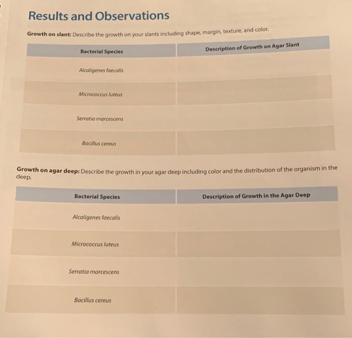 Results and Observations Growth on slant: Describe | Chegg.com