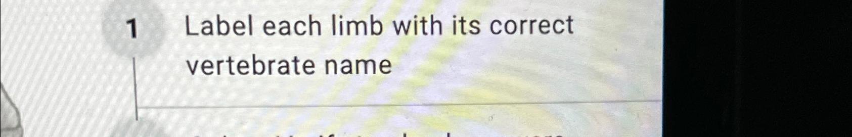 Solved 1 ﻿Label each limb with its correct vertebrate name | Chegg.com