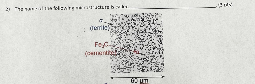 Solved The name of the following microstructure is called | Chegg.com