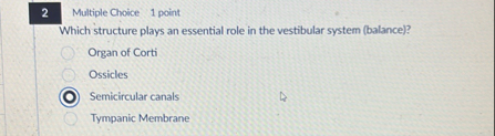 Solved 2Multiple Choice1 ﻿pointWhich structure plays an | Chegg.com
