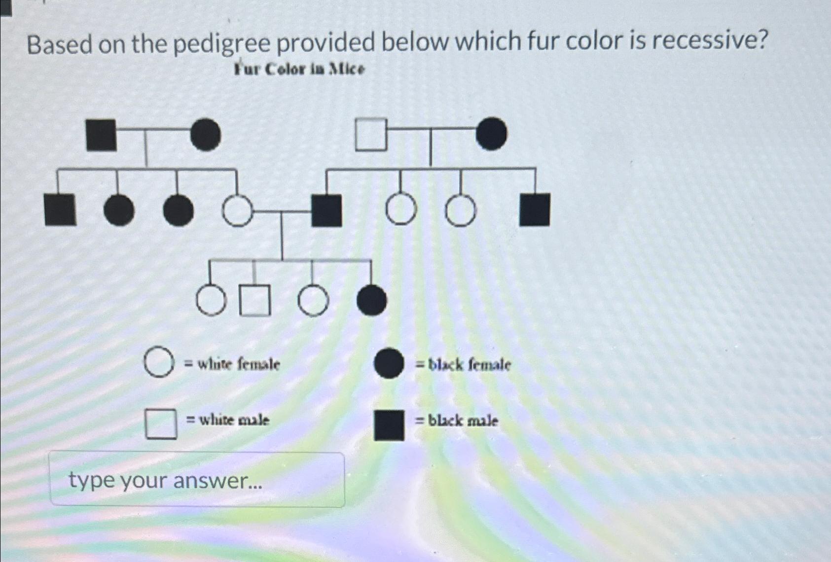 Solved Based on the pedigree provided below which fur color | Chegg.com