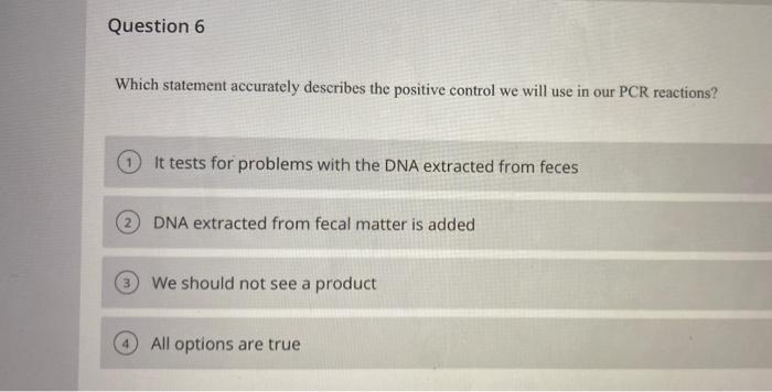 Solved Question 6 Which statement accurately describes the | Chegg.com
