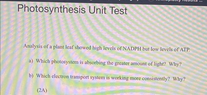Solved *** Photosynthesis Unit Test Analysis of a plant leaf | Chegg.com