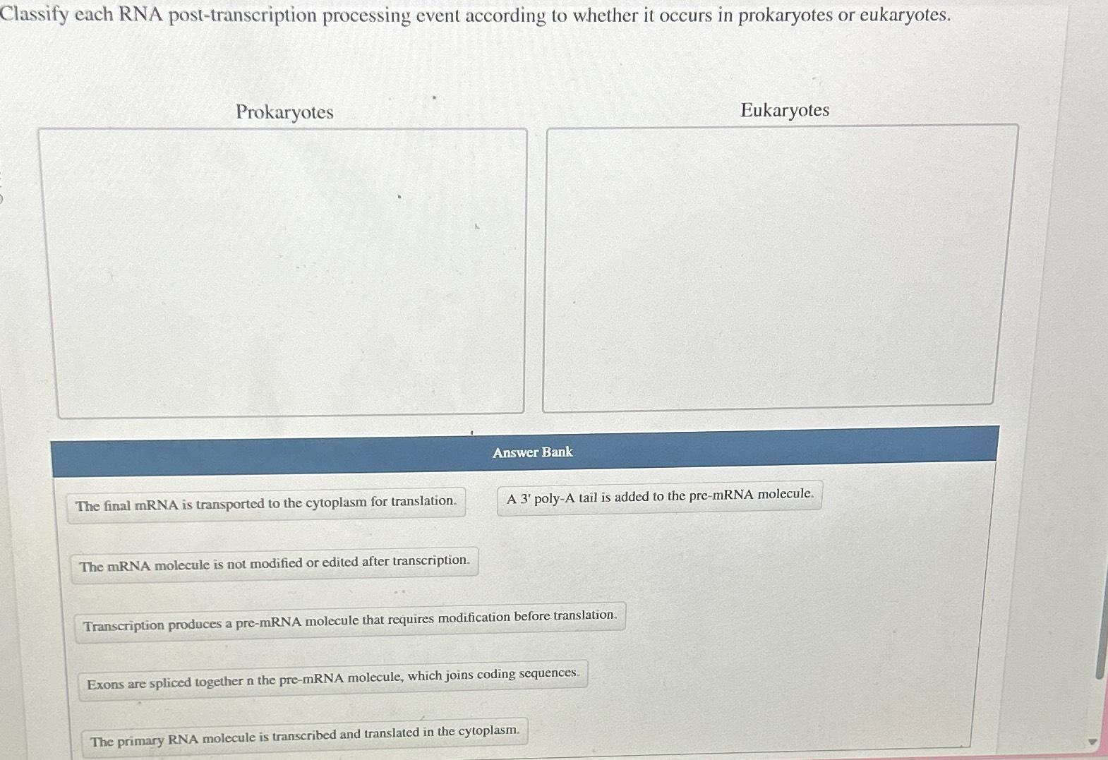 Solved Classify each RNA post-transcription processing event | Chegg.com