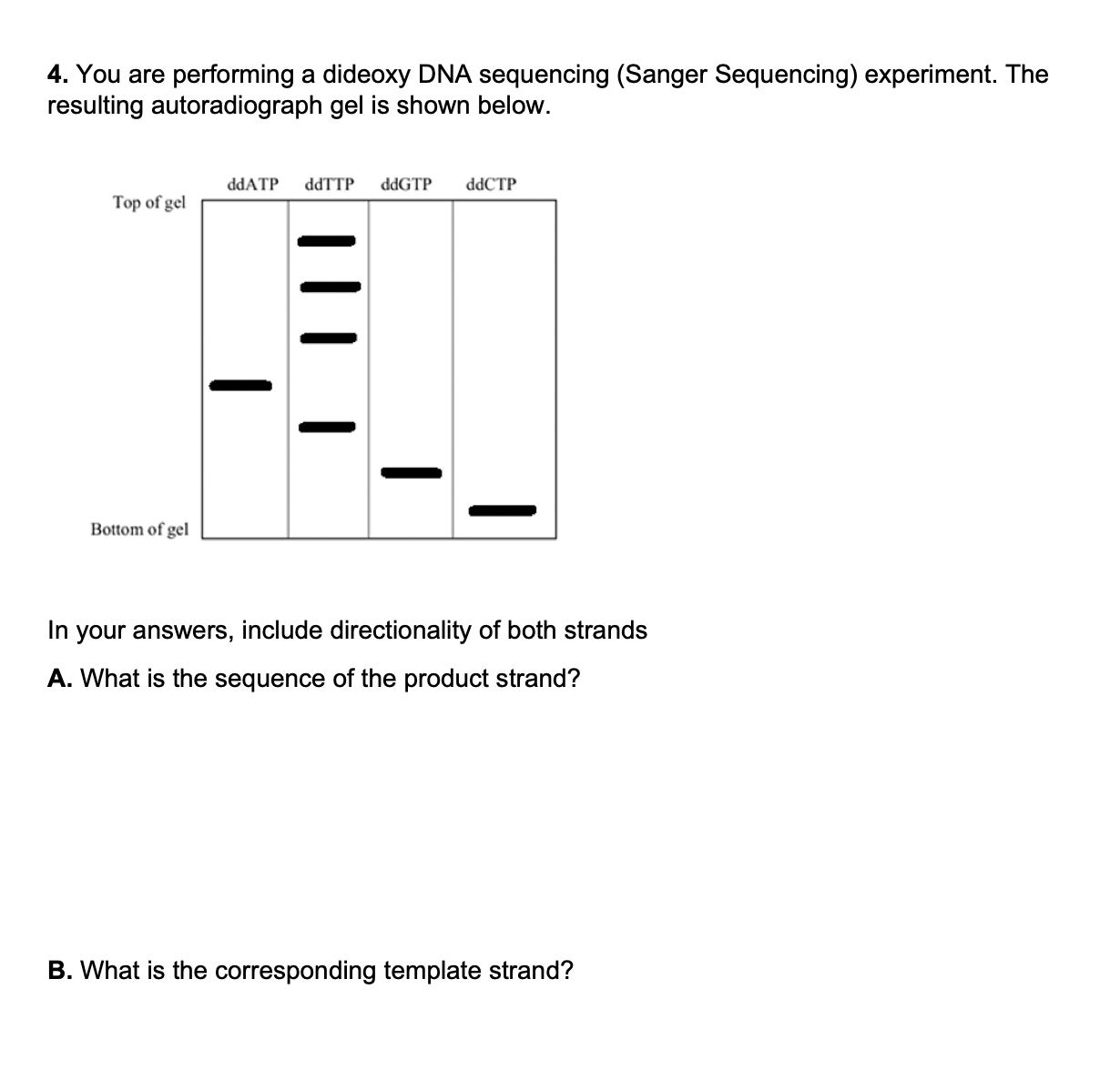 Solved You are performing a dideoxy DNA sequencing (Sanger | Chegg.com