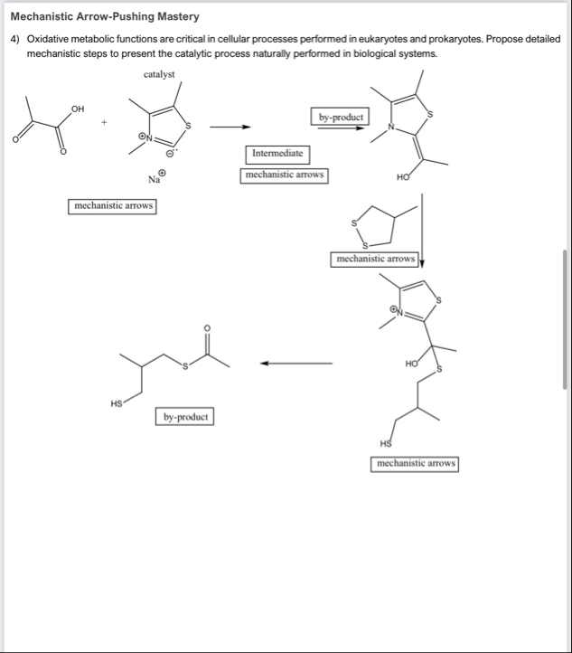Protecting Groups and CarbonylsThe synthesis | Chegg.com
