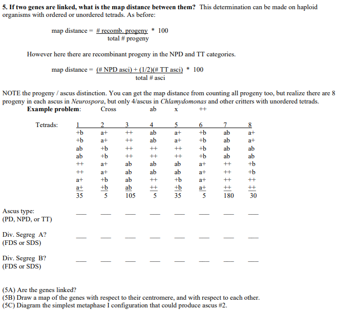 Solved If two genes are linked, what is the map distance | Chegg.com