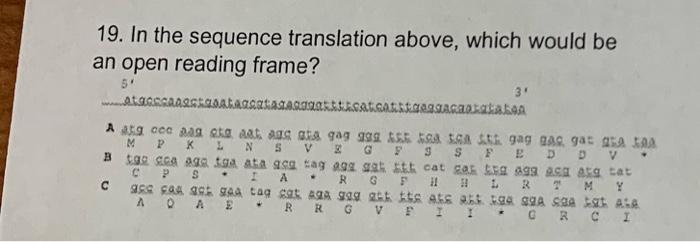 19. In the sequence translation above, which would be | Chegg.com