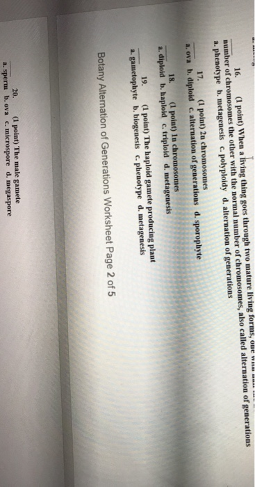 Solved Botany Alternation of Generations Worksheet Multiple | Chegg.com