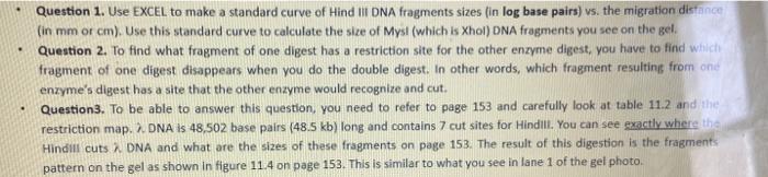 ion-ion-1-use-excel-to-make-a-standard-curve-of-hind-iii-dna-fragments-sizes-in