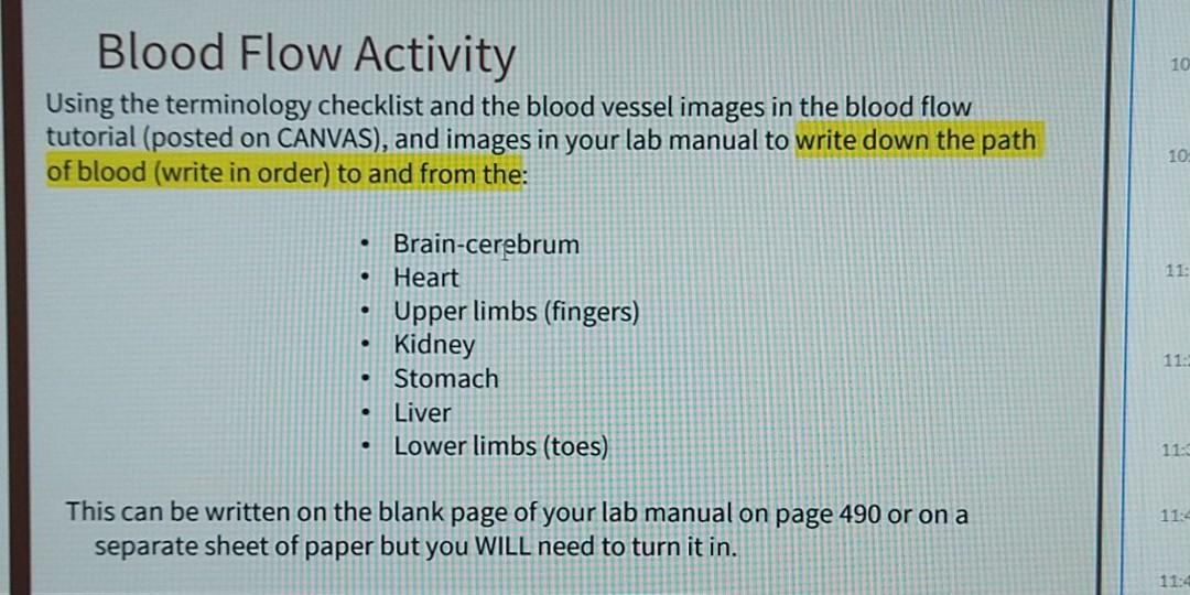 Solved 10 Blood Flow Activity Using the terminology | Chegg.com