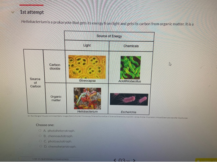 Solved 1st attempt Heliobacterium is a prokaryote that gets | Chegg.com