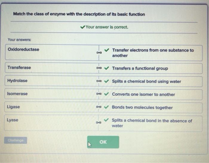 Solved Match the class of enzyme with the description of Its | Chegg.com
