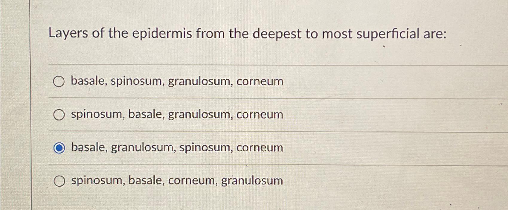 Solved Layers of the epidermis from the deepest to most | Chegg.com